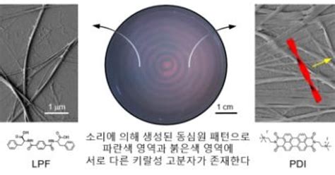 부작용 없앤 의약품 개발 가능성↑소리로 쌍둥이 분자 격리