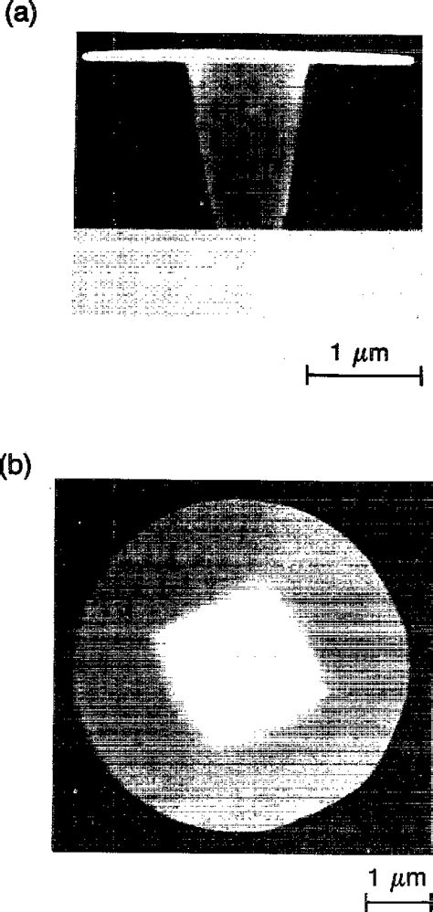 Figure 1 From Whispering Gallery Mode Microdisk Lasers Semantic Scholar