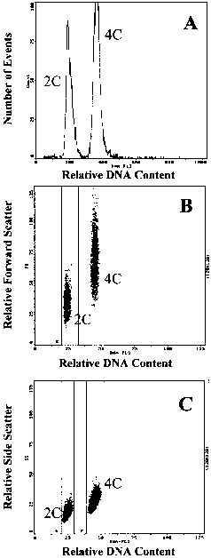 Representative Results Of The Flow Cytometric Simultaneous Analysis Of