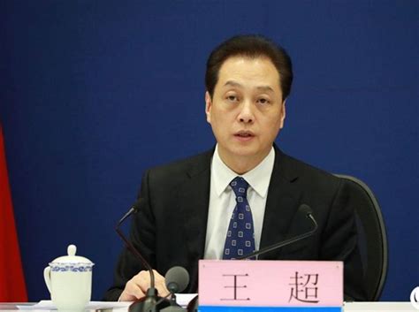 全国人大新任大会发言人王超亮相，曾是最年轻的外交部副部长 提问 会议 新闻