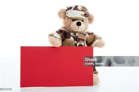 군인 유니폼과 흰색 배경에 대해 고립 된 빈 빨간 색 카드에 귀여운 테디 베어 개념에 대한 스톡 사진 및 기타 이미지 개념 고독 개념 공란 Istock
