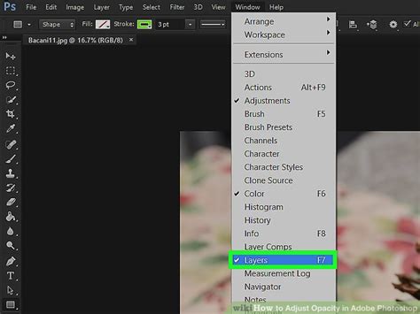 How To Adjust Opacity In Adobe Photoshop 8 Steps With Pictures