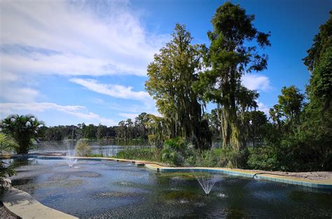 Pentax K 50 Photos Page 73