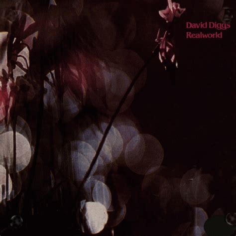 David Diggs『realworld』cd