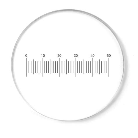 Eyepiece Calibration Ruler Slides Microscope Micrometer Microscope Calibration Slide Stage