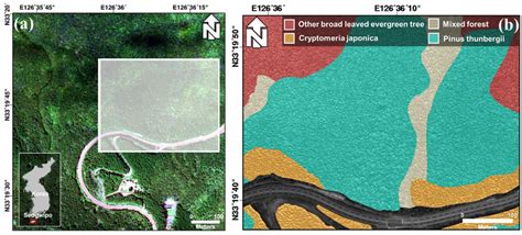 A Study Area B Tree Classification Map Ground Truth Download Scientific Diagram