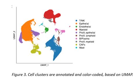 Single Cell RNA Sequencing Reveals The Impact Of Chemotherapy On Pancreatic Cancer Health