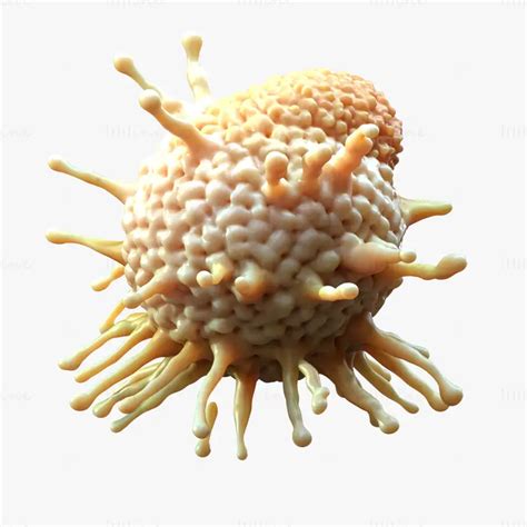 Cancer Cell Tumor 3d Model