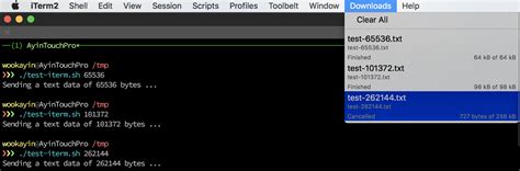 Tmux Passthrough Of Large Data Sequence Issue 1502 Tmux Tmux GitHub