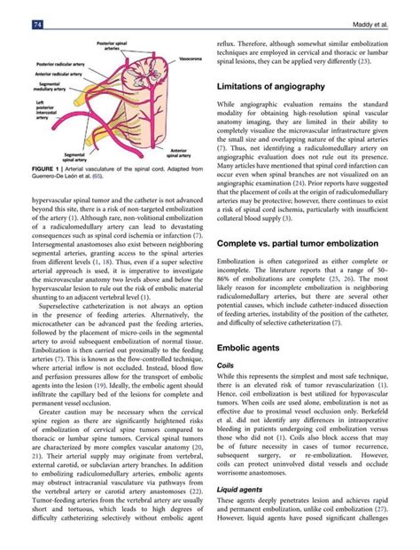 Spinal Tumor Embolization Benefit For Surgical Resection Pdf