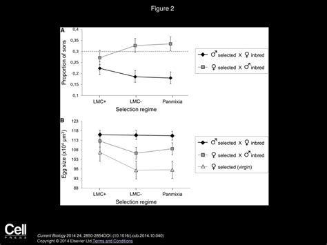 Emilie Macke Isabelle Olivieri Sara Magalhães Current Biology ppt download