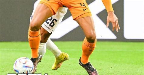 사진 반다이크빈틈 없는 수비