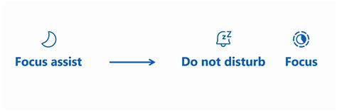 Windows Focus Julia Carlson