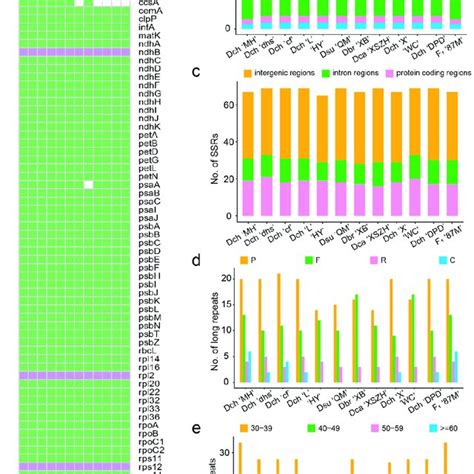 Protein Coding Gene Content And Repetitive Sequence Feature Of 12 Protein Coding Gene Content And Repetitive Sequence Feature Of 12