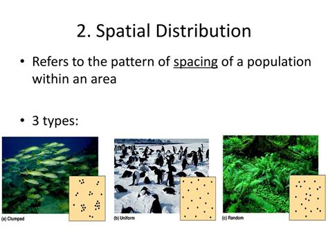 Population Ecology Ppt Download