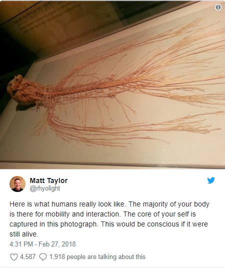 This Is What Humans Really Look Like City Magazine