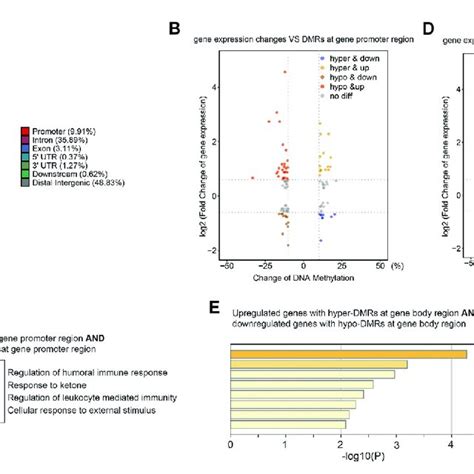 Aberrant Dna Methylation At Te Loci May Be Involved In Gene Regulation Download Scientific