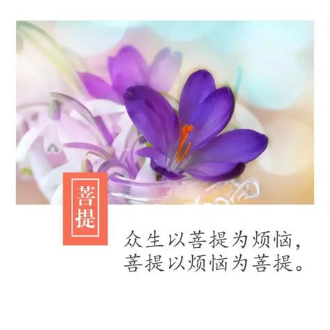 林清玄以清淨心看世界以歡喜心過生活 每日頭條
