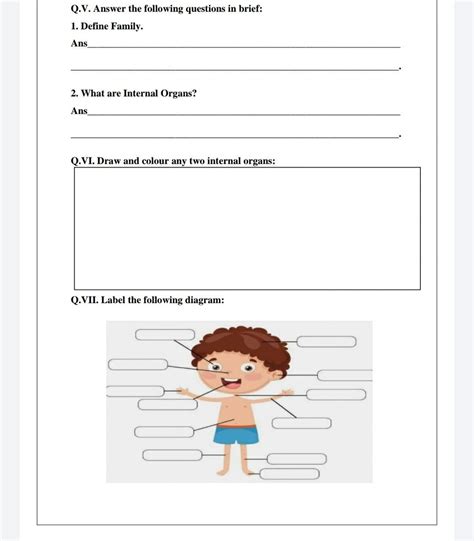 Evs Worksheet For Grade 2 Artofit