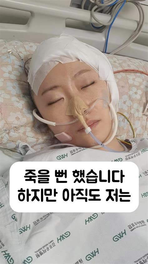 날으는 돼지 우은빈 작가 1 이 그림은 2019년에 기록으로 남긴 웹툰입니다 오늘 제주항공 무안공항 사고 소식을 가장 먼저 저에게 전해준 사람은 언제나 그렇듯이