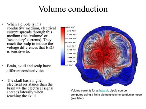 Ppt Eeg And Meg Signals Physiology And Source Reconstruction Powerpoint Presentation Id9086578