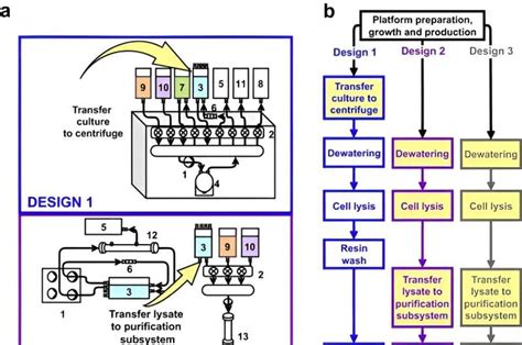 Designing A Space Bioprocessing System To Produce Recombinant Proteins My Space Stories