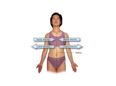 Fracture Coding Cm And Pcs Pptx Death Injury Or Military Conflict Fracture Coding Cm And Pcs Pptx Death Injury Or Military Conflict