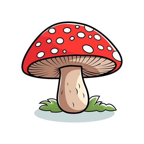 Cute Clip Art Style Mushroom Illustration With White Background