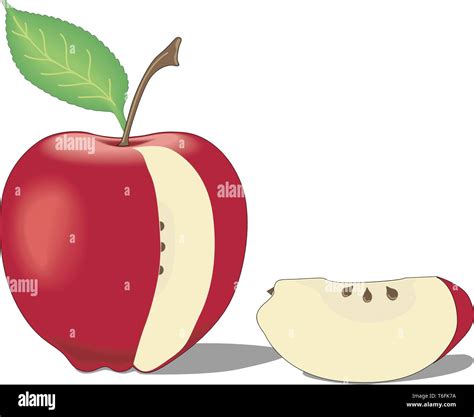 Apple Slice Vector Illustration Stock Vector Image Art Alamy