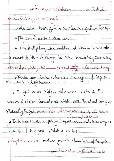 Metabolism Lecture Biology Histology Biology Studocu