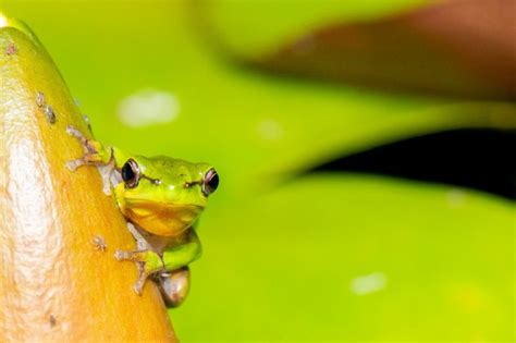 Nesp Resilient Landscapes Hub On Linkedin Nesp Research