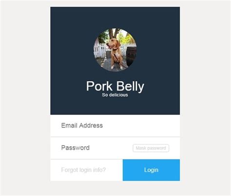 Más de 100 diseños de formulario de login en HTML gratis Pittuk