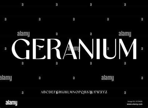 Beautiful Curved Display Font Vector Stock Vector Image And Art Alamy