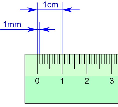 Real Life Size Milimeter Ruler Papakool