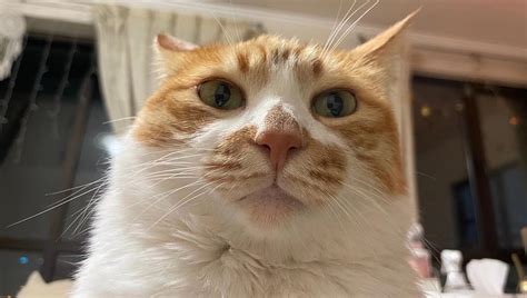 基于opentelemetry的golang全链路监控实现 知乎