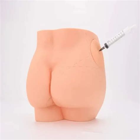 Pvc Buttock Injection Model For Education At ₹ 3907 In Ambala Id 2855168462312