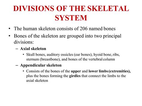 Skeletal System Ppt