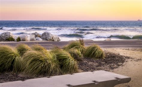5 Best Beaches In Los Angeles Newsweek