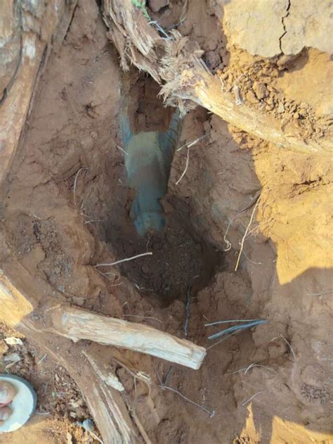 မတ္တရာနှင့် တောင်သာ မြို့နယ်ရှိ ကျေးရွာများကို စစ်တပ်က လေယာဉ်ဖြင့် ဗုံးကျဲ တိုက်ခိုက်မှု ပြည်သူ