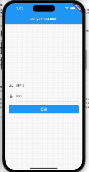 Flutter中的form表单 迈腾大队长 Flutter中的form表单 迈腾大队长