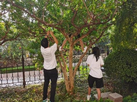 学院举办“石榴籽一家亲同心喜迎二十大”石榴文化节活动 山东特殊教育职业学院