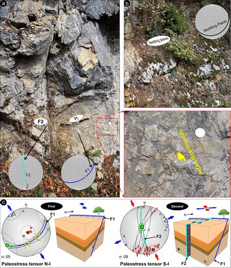 Crosscutting Relationships Of Different Fault Sets Site 20 Figure 3 Download Scientific