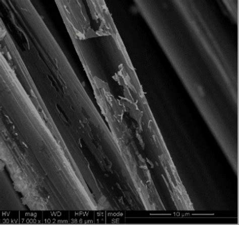 Efthymios Paronis On Linkedin Delamination Of Carbon Fibre Sizing Sem