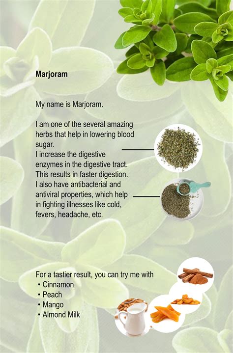 Marjoram Herb Uses