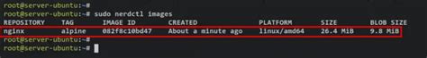how to install containerd container runtime on ubuntu 22 04