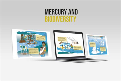 Minamata Convention Infographics Zoï Environment Network