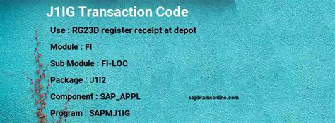 J1ig Sap Tcode For Rg23d Register Receipt At Depot