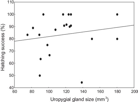 Relationship Between Uropygial Gland Size And Hatching Success In