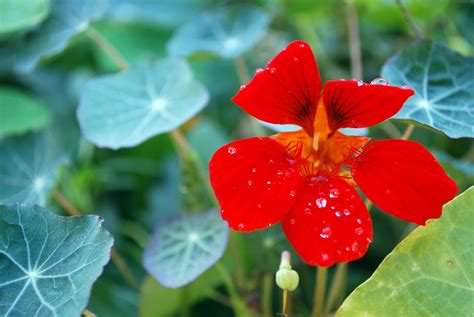 Zhang Ziyi Hot Scene Hero 6k Pics